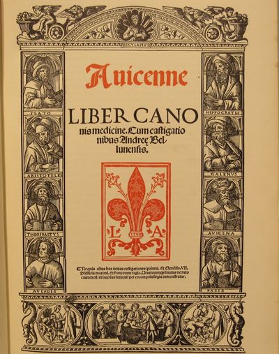 Liber canonis medicine cum castigationibus Andree Bellulensis